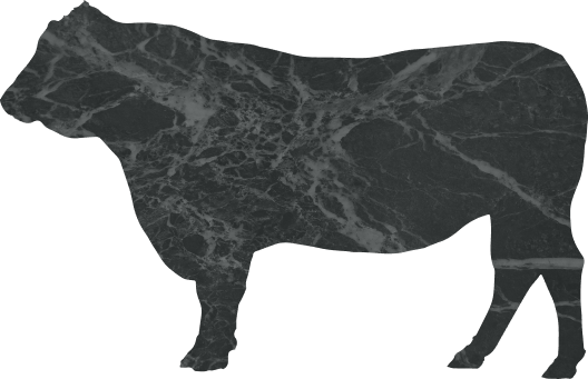 Ebony Black Angus - Quality Beef Excellence