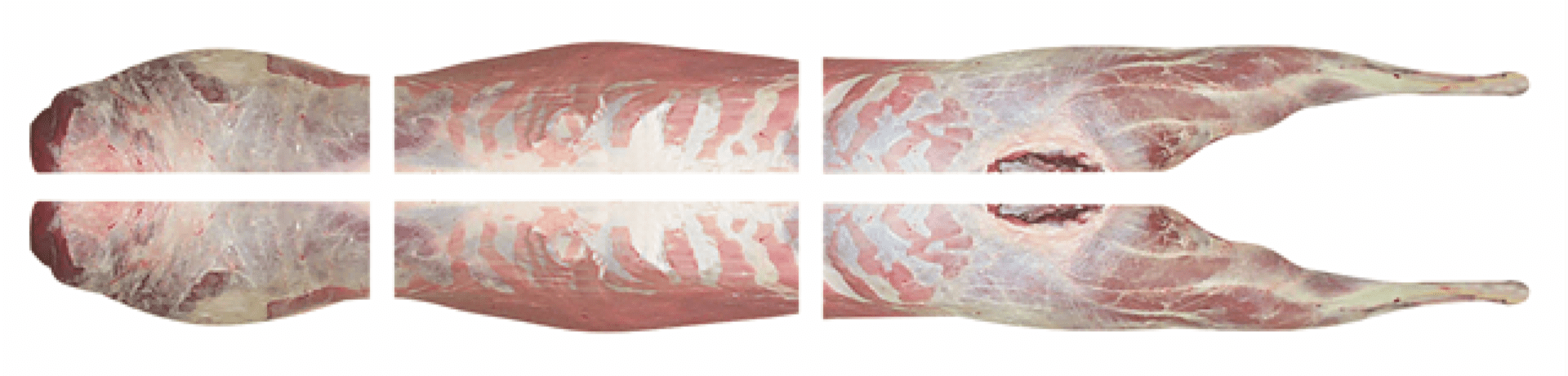 Premium Australian Goat Meat - Kilcoy Global Foods