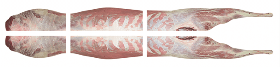 Premium Australian Goat Meat - Kilcoy Global Foods