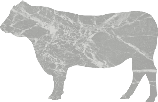 Kilcoy Pure | Hormone Free Beef - Kilcoy Global Food